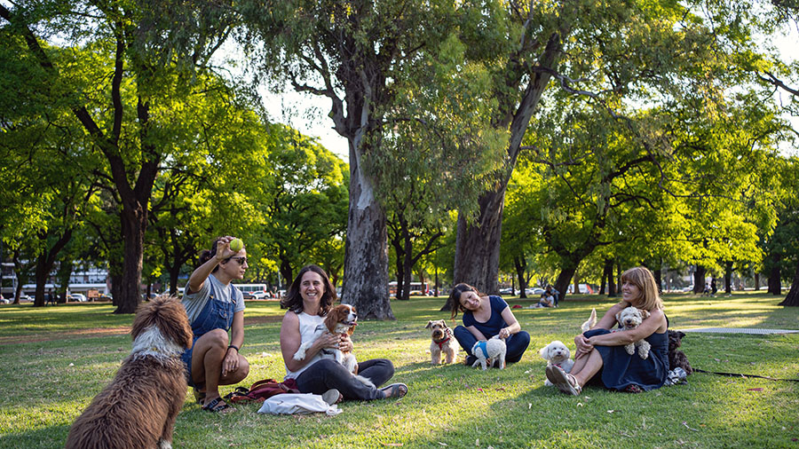 Elements of Successful Public Parks: Creating Green Spaces That ...